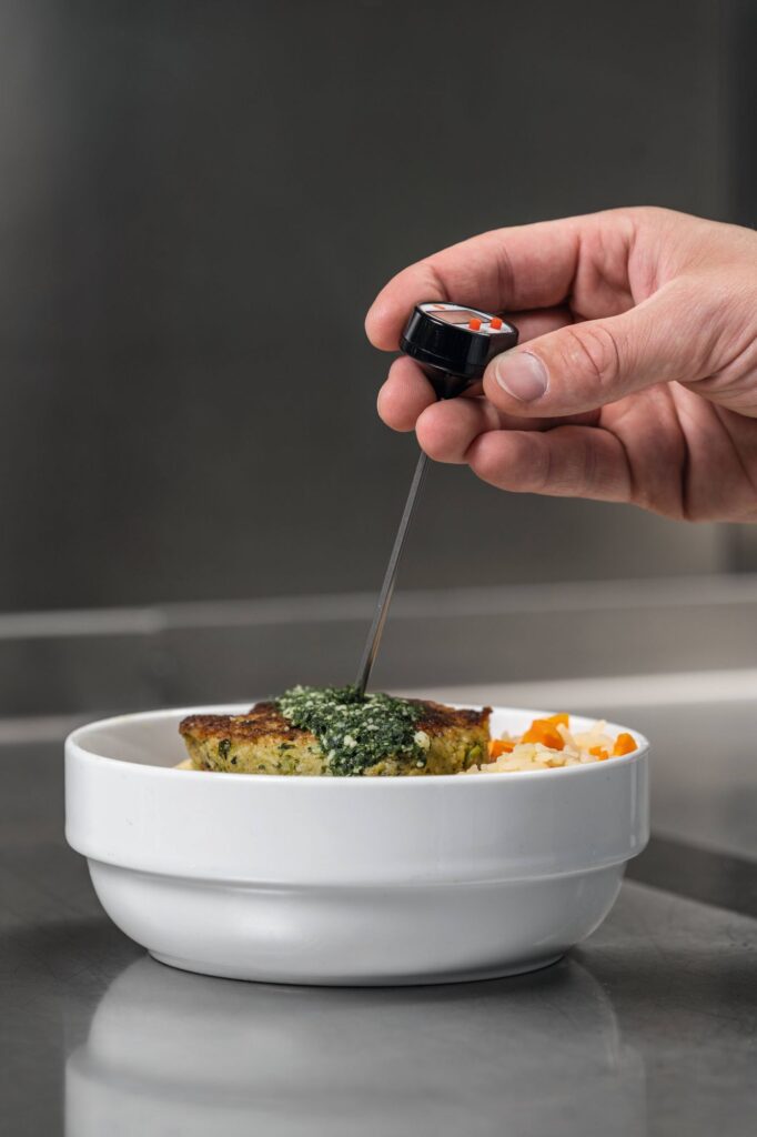 Mini penetration thermometer - Senze Instruments Pte Ltd